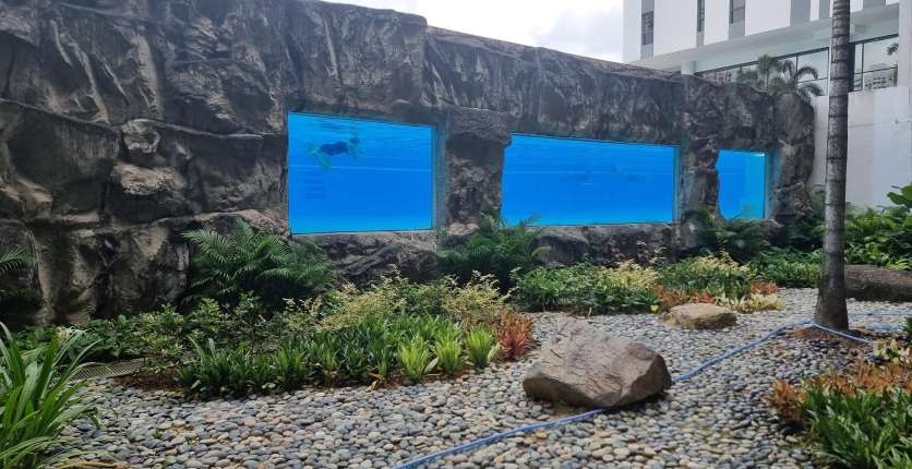 Interesting Fun Facts About SAFRA Clubs You Might Not Know | SAFRA